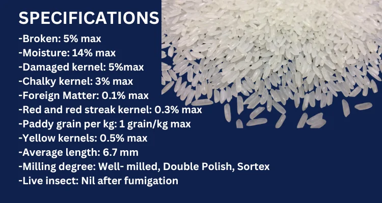 New Crop 2024 Jasmine Rice From Vietnam (whatsapp: +84 925010702 Ms ...