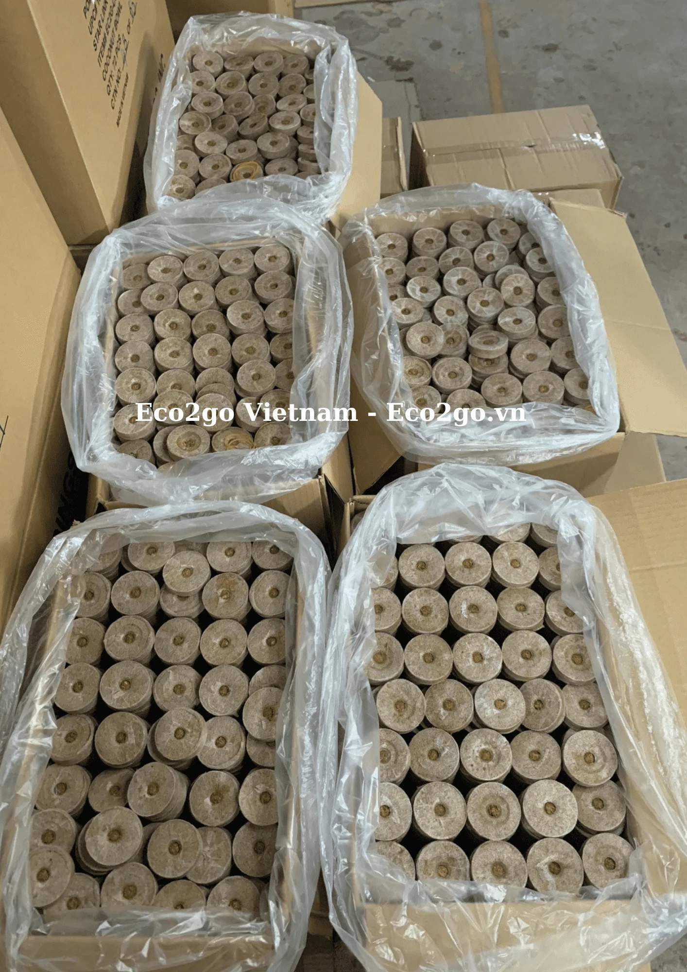 Organic Coco Peat Moss Pellets for Plant Growth & Potting