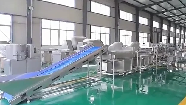 Multi-functional Bubble Vegetable Frozen Fish Cleaning Machine ...