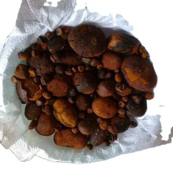 Bulk Sample 10g Nature Cow Gall Stones Ox Gallstones Ox Cow Gallstones ...