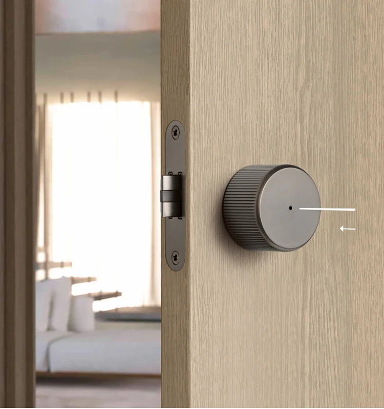 Goo-ki Privacy Door Handle - Utility Patent & Antique Silver
