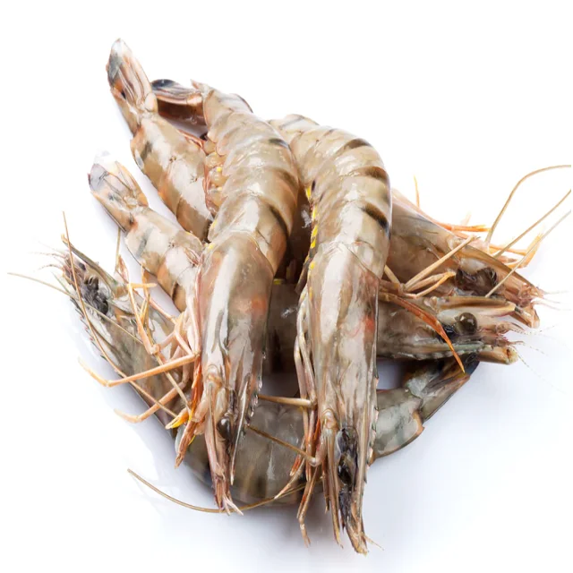 Wholesale White Shrimp/fresh Water Prawn/frozen Vannamei Shrimp Feed ...