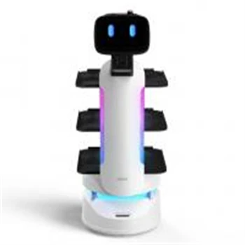 Restaurant Waiter Intelligent Reception Service Robot