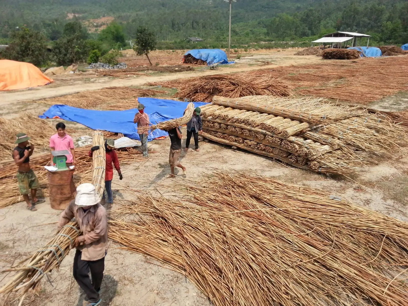 HEXAGON Rattan Webbing Cane - Durable and Versatile Material