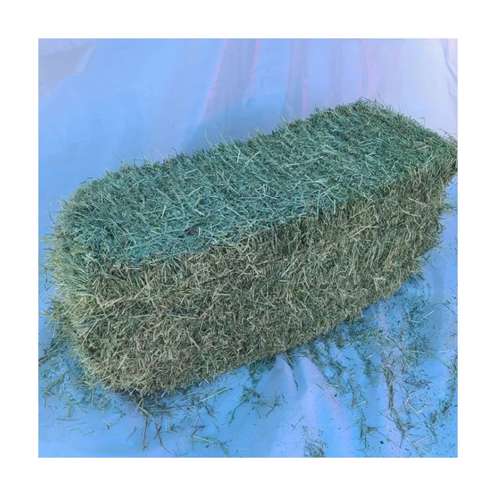 Quality Alfalfa hay Bays / Dehydrated Alfalfa Cubes Timothy hay Alfafa ...