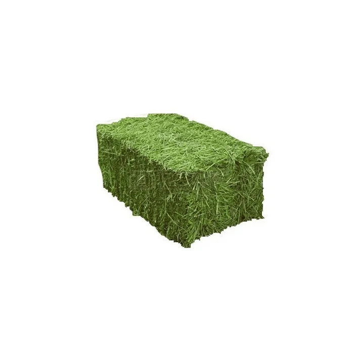 Quality Alfalfa Hay Bays / Alfafa Pellets / Dehydrated Alfalfa Cubes ...