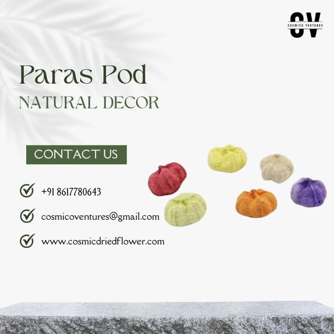 High Quality Wholesale Natural Paras Pod For Potpourri,Diy,Events Decor ...