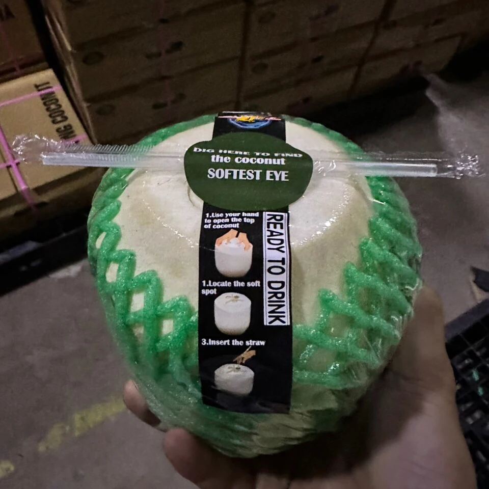 Fresh Coconut Easy To Open With Push Botton And Straw Type Wholesale ...