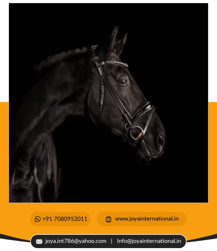 Micklem皮革笼头，用于西方骑马智能马匹产品| Alibaba.com