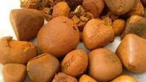 Sell Gallstones Cow Gallbladder Stones For Medicine Ox Gallstone Supply ...