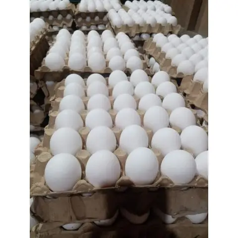 Fresh Chicken Table Eggs Brown and White Shell Chicken Eggs for Sale ...