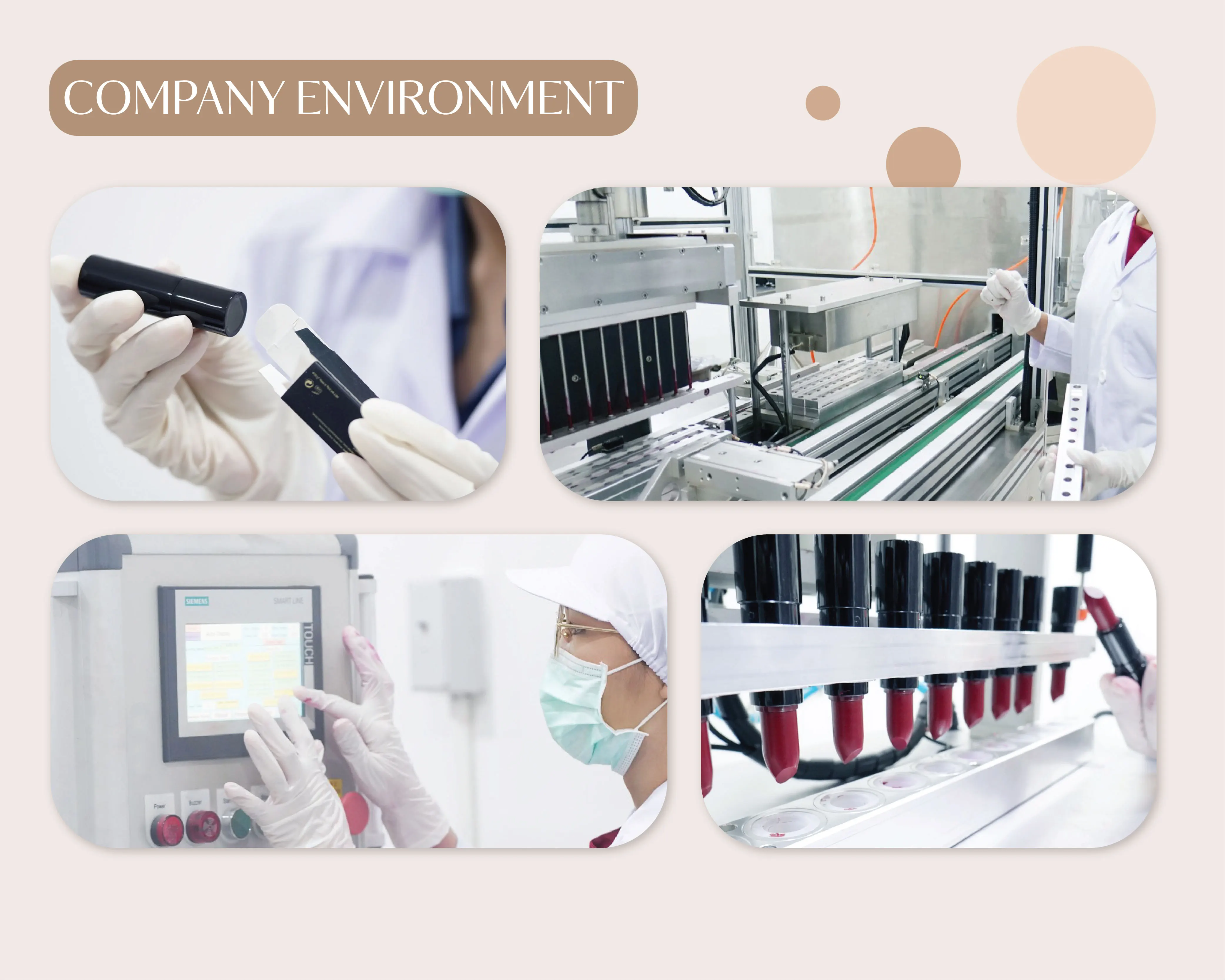 Best Seller Beauty Makeup Cosmetics Product Oem Private Label Lip Tint ...