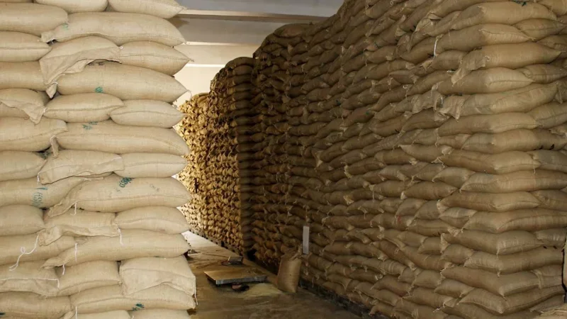 100% Halal Premium Quality Basmati Rice Long Grain Basmati Rice ...