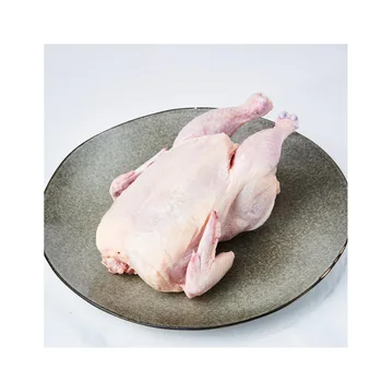 Halal Frozen Whole Chicken Skin On,Frozen Chicken Feet 55g+ Made In ...