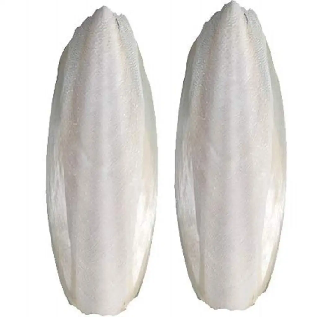 Dried Cuttlefish Bone Price High Quality Dried Cuttlefish Bone ...