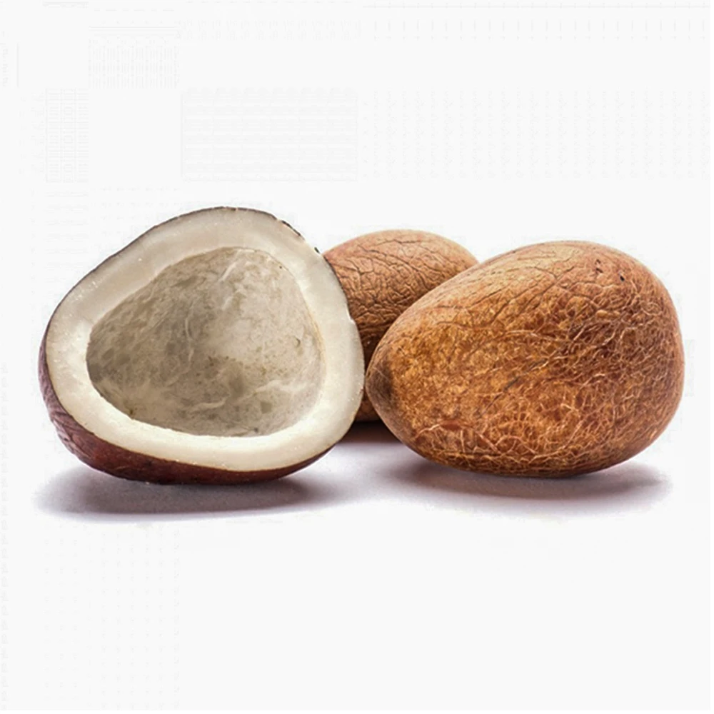 Bulk Price White Dried Copra - Competitive Export Market Price 2023 ...