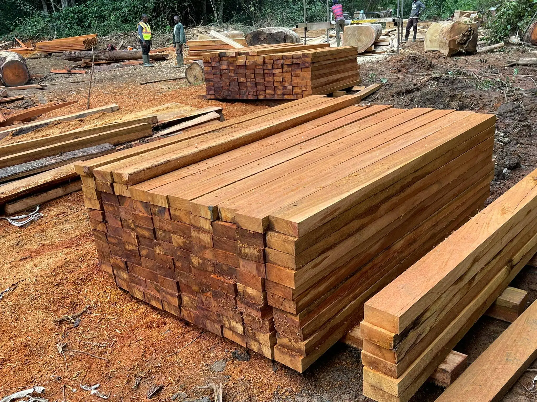 KTIMBER African Supplier Padauk Dimensional Lumber Wood