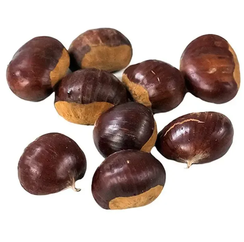 Best Selling Germany Shelled Fresh Raw Organic Chestnuts In 5kg Peeled ...