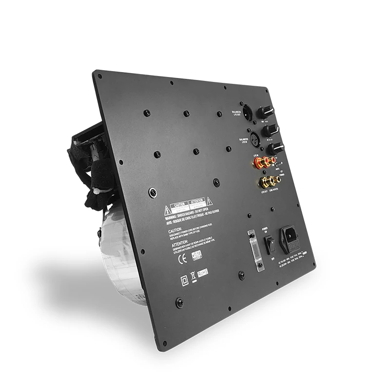 Class D Subwoofer Plate Amplifier Module Home Mono Toroidal Power ...