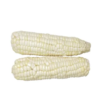 Wholesales Fresh Yellow Corn/ White Corn Maize Dry For Animal Feed ...