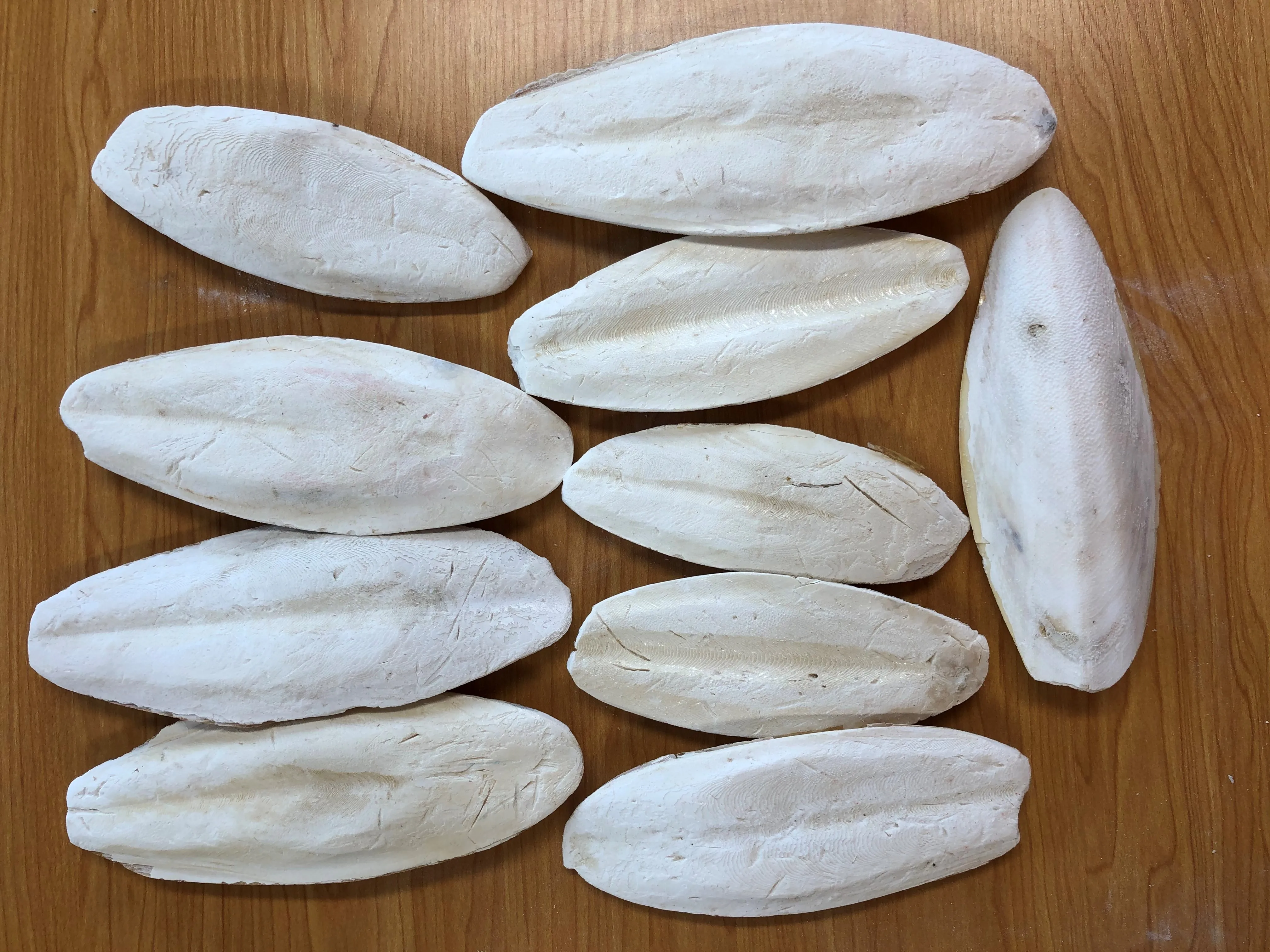 BLEACHED and UNBLEACHED RAW CUTTLEFISH BONE FROM VIETNAM/BLISTER DRIED ...