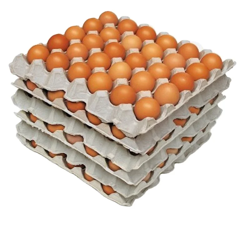 Fresh Farm Chicken Table Eggs Brown And White Shelled - Buy Egg Ostrich ...