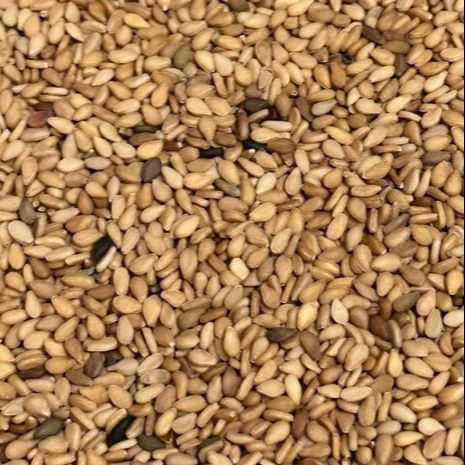 Bangldesh Yellow Sesame - Buy High Quality Yellow Sesame Seed,Natural ...
