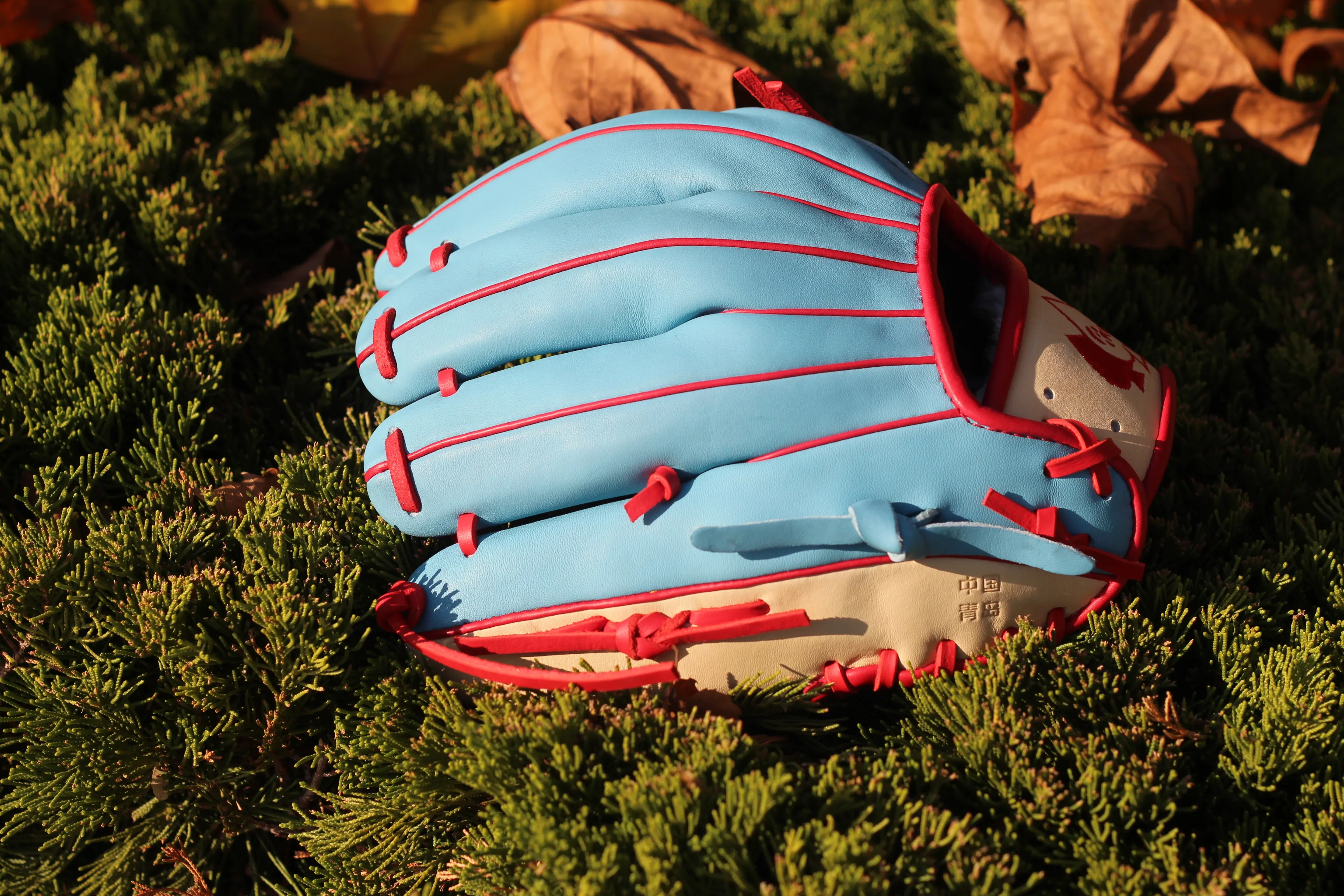 Custom A2000 Japanese Baseball Gloves - Major League Quality