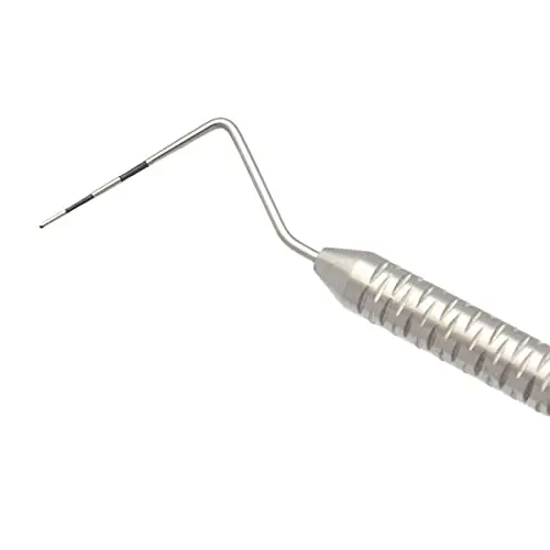 Dental Single Head Needle Stainless Steel Root canal Probe Root Dental ...