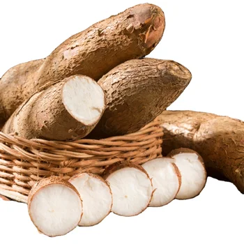 Dried Cassava /raw Dry Cassava With Exportation Quality And Competitive ...