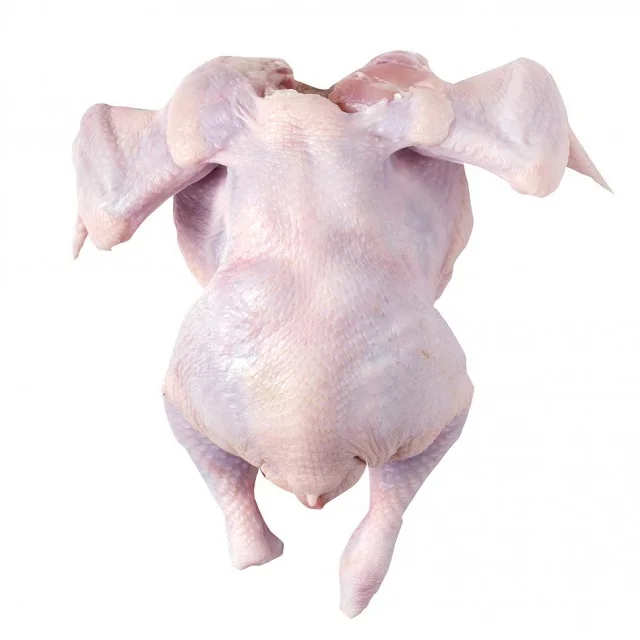 Quality Fresh Whole Chicken - Brazil Frozen Food - Buy Ground Chicken ...