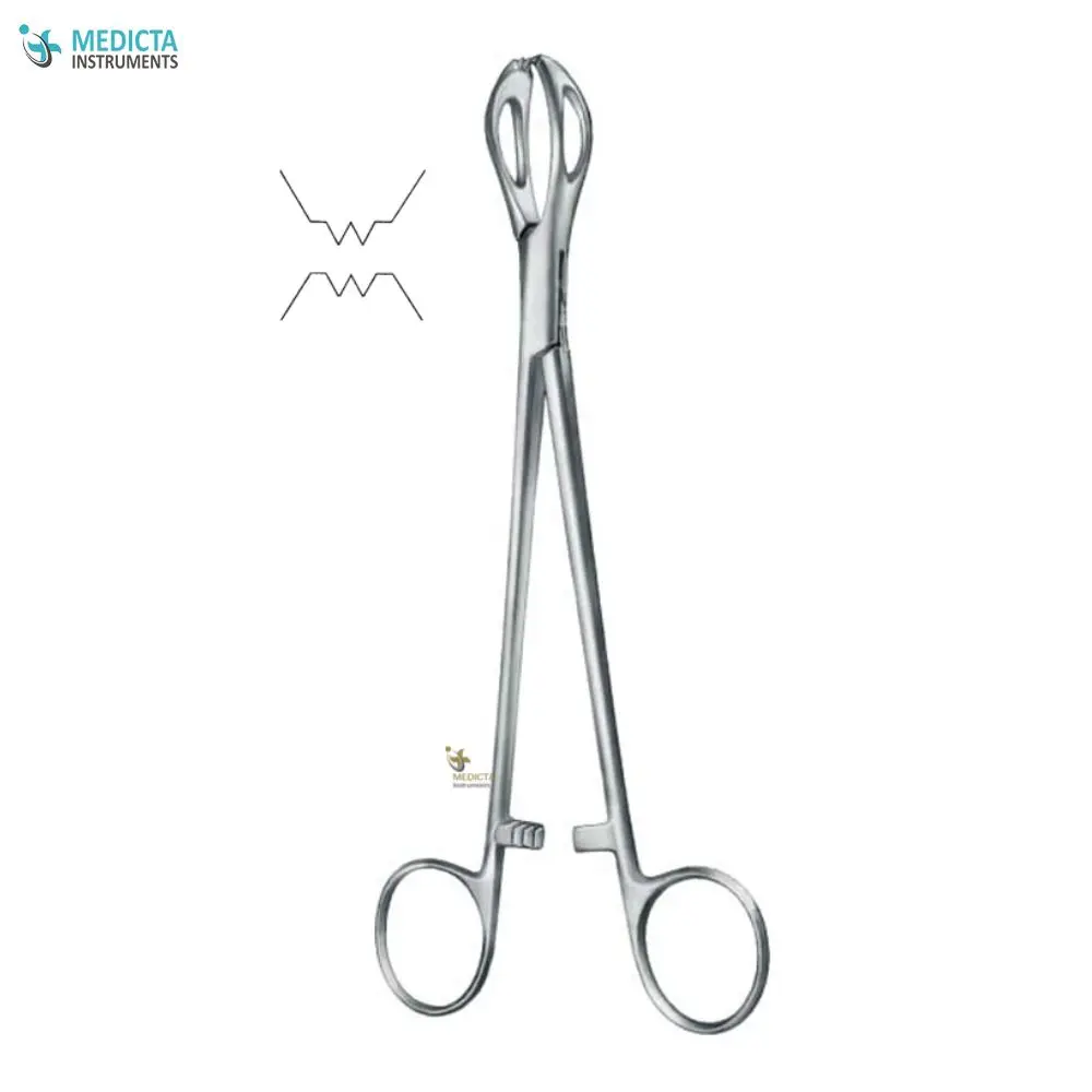 Lane Towel Clamp 19.5cm - General Surgical Towel Forceps - Buy Backhaus ...