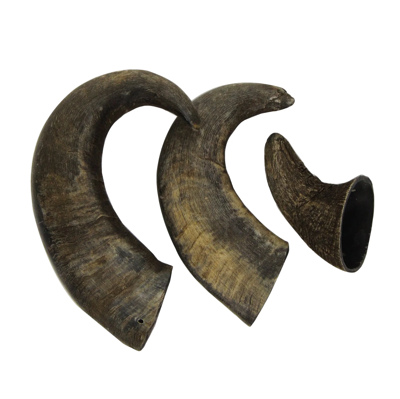 Water Buffalo Drinking Horn - Buy Water Buffalo Horn For Dog Chew\lamb ...