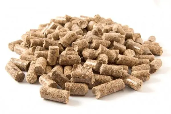 High Quality Grains Compound Feed for Cattle - Organic & Natural