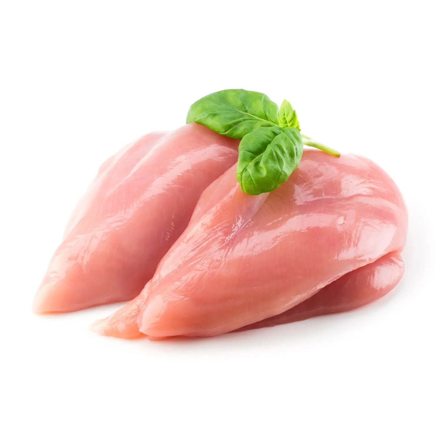 Halal Frozen Chicken Breast - Skinless Boneless Fillets
