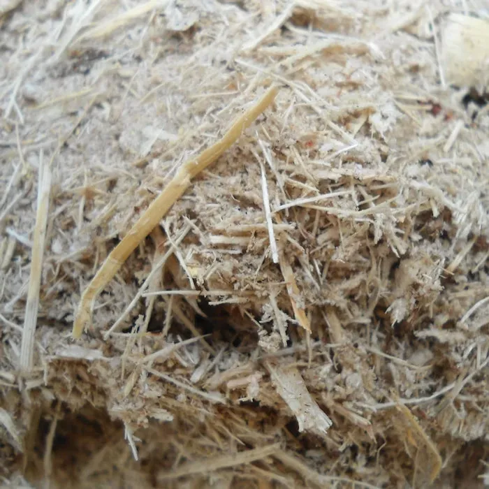 LARGE QUANTITY EXPORT SUGARCANE BAGASSE/ BAGASSE WASTE/ DRIED RAW ...