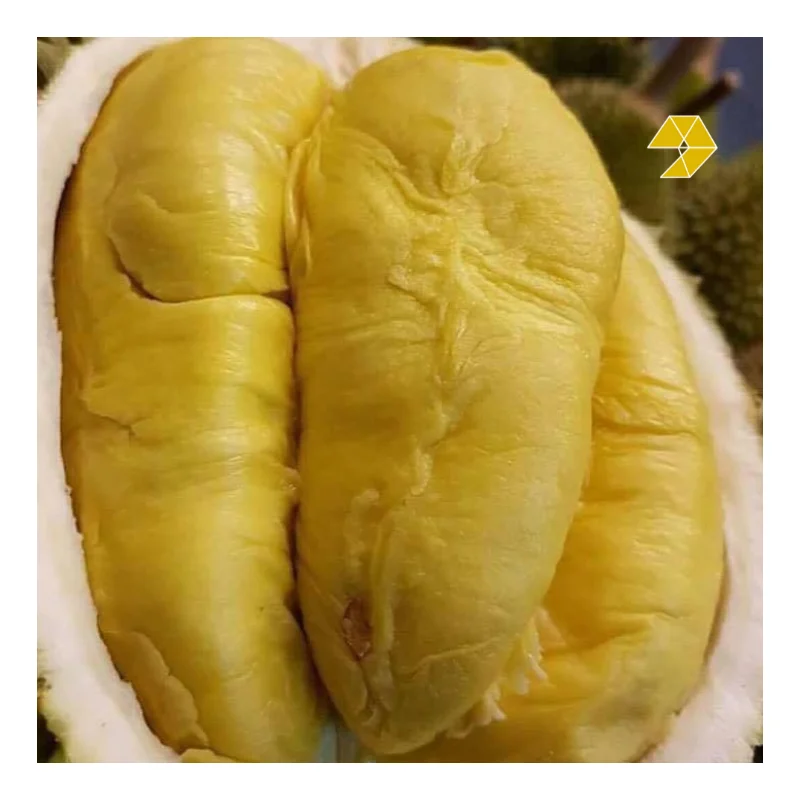 Cheap Price Monthong/ri6 Frozen Durian from Vietnam