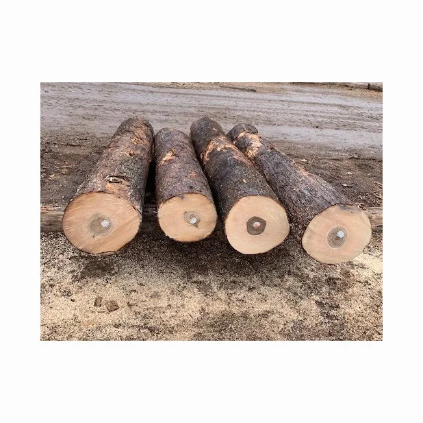 100% Pure Timber Logs Teak Wood / Oak Wood Logs / Pine Wood Logs - Buy ...