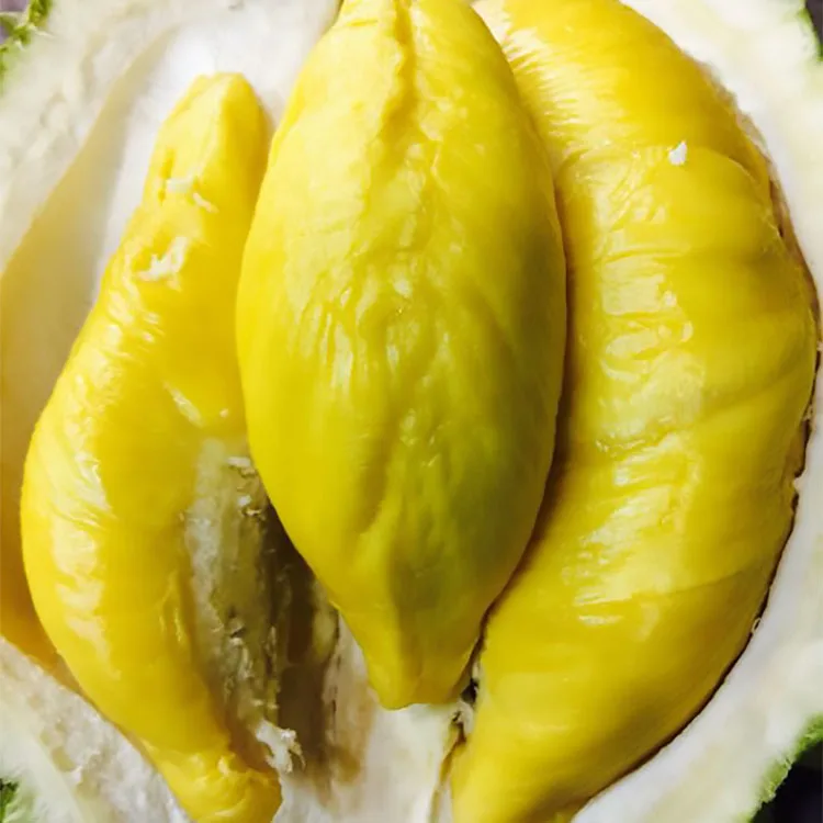 Fresh Durian Fruit For Sale Best Quality Natural Using For Food Premium ...
