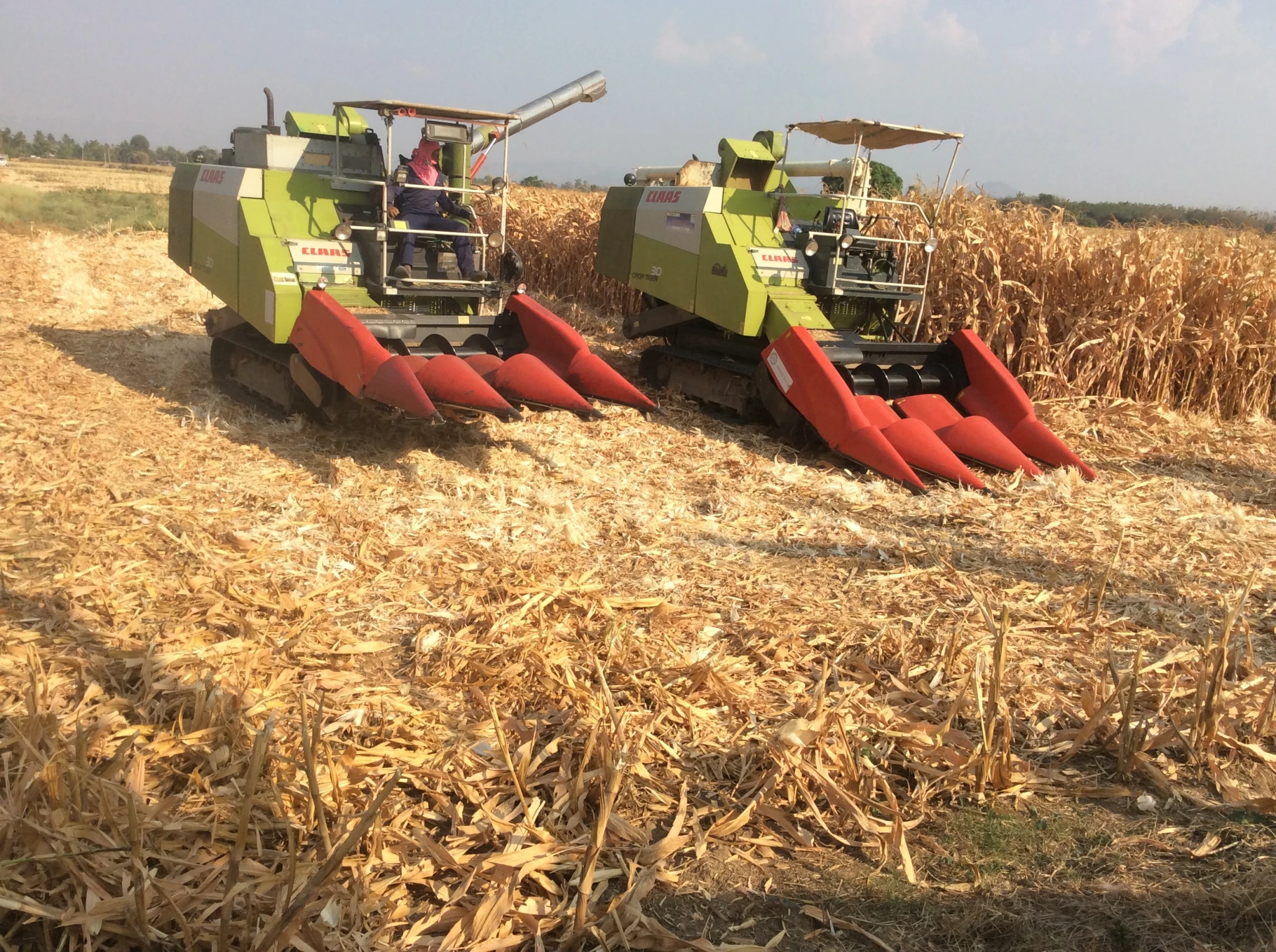 TIANREN Industry-leading Corn Kit for Track Based Combine| Alibaba.com