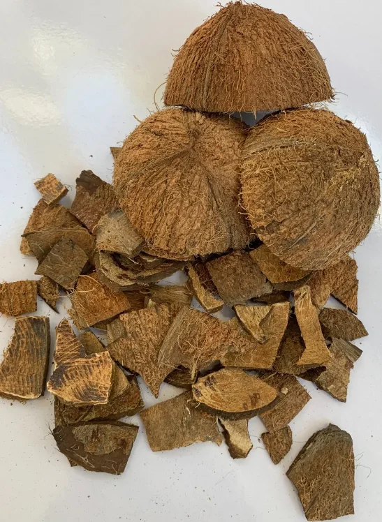 HOT DEAL EXPORT COCONUT SHELL BEST PRICE in the MARKET