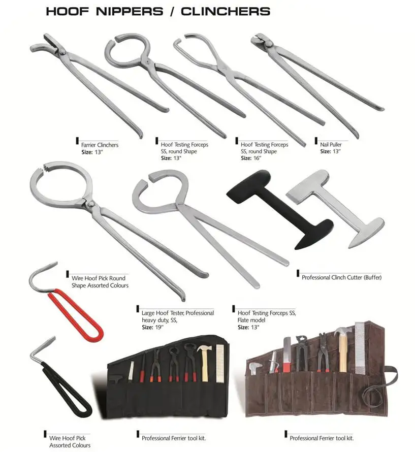 Professional Farrier Tool Kit| Alibaba.com
