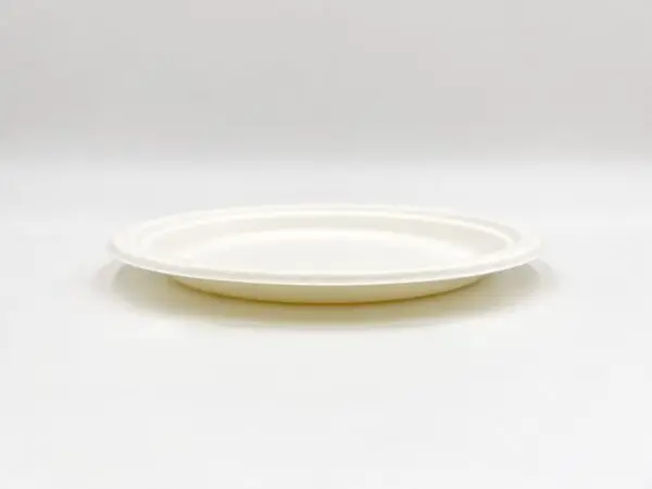 Disposable 9 Inch White Round Plates Biodegradable and Compostable ...
