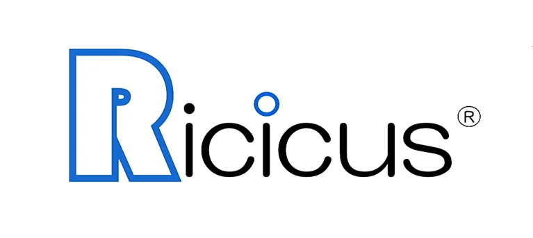 Company Overview - RISING STAR ENTERPRISE LIMITED