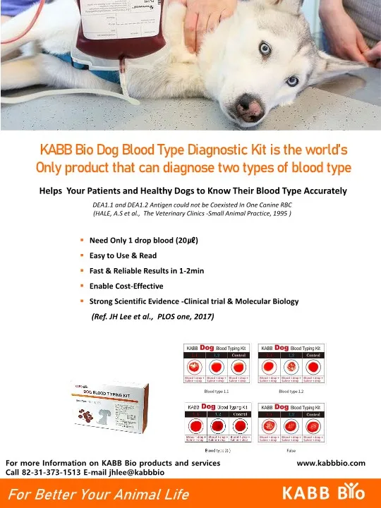 Diagnosis Of Dog Blood Type Kit - Buy Dog Blood Typing Test Kit Box ...