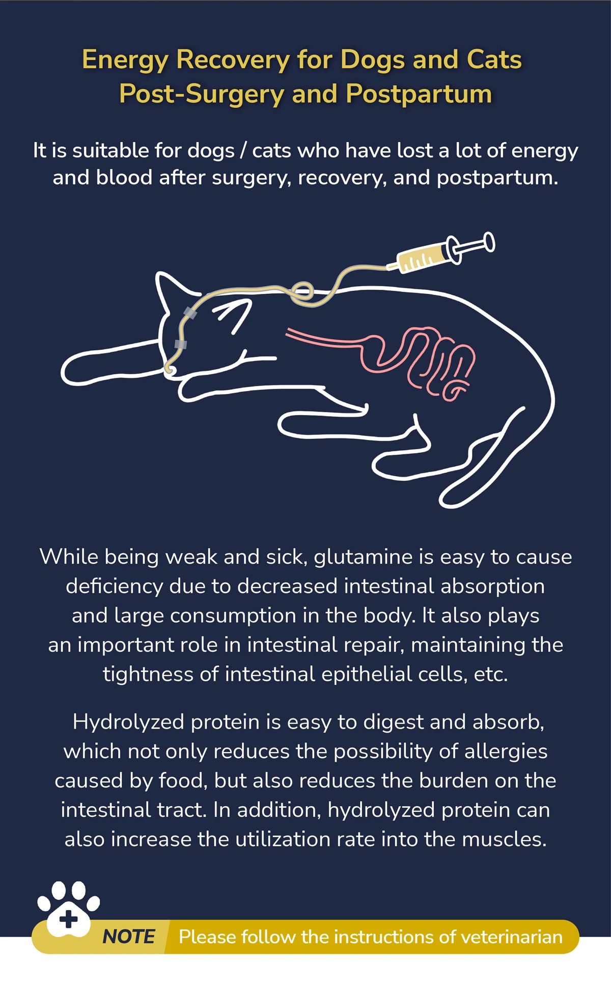 Recovery Diet For Felines Liquid Cat Recovery Diet Cat Veterinary Diet Buy Recovery Diet For