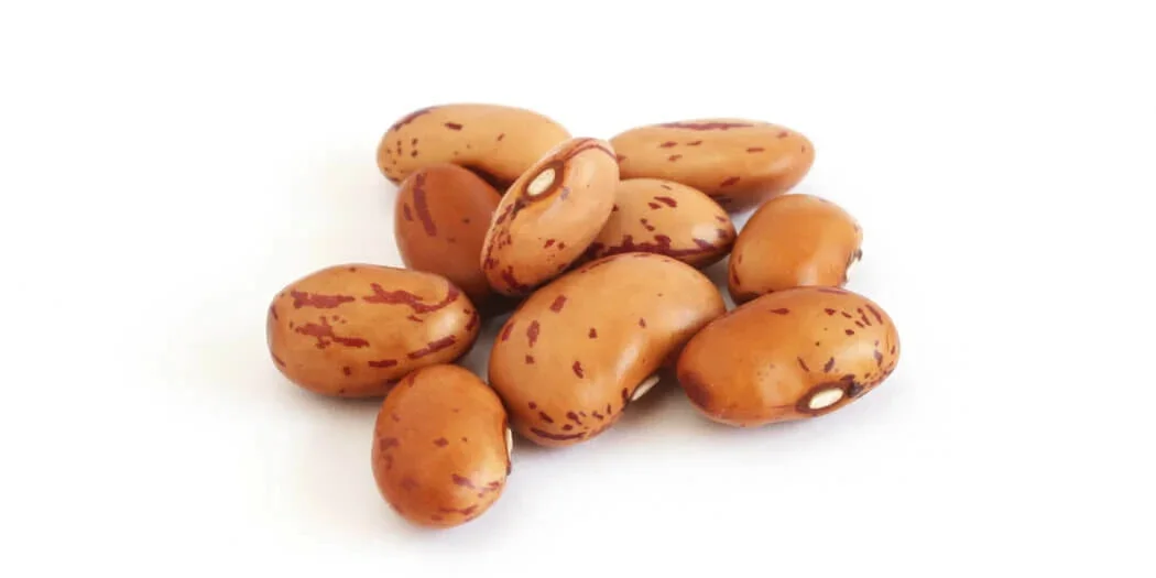 High Quality Mottled Pinto Beans in Bulk Packaging| Alibaba.com