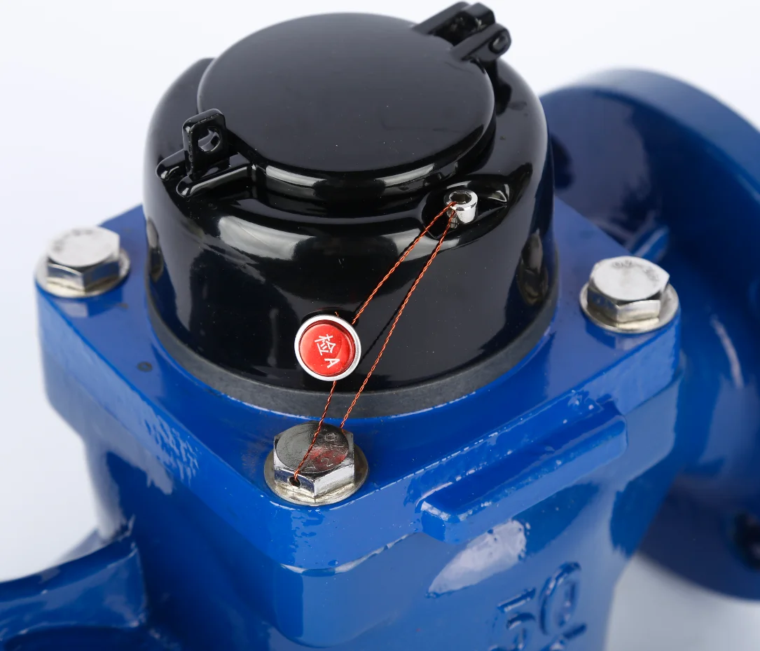 3 Inch Turbine Water Meter - Woltman Flow Meter for Water