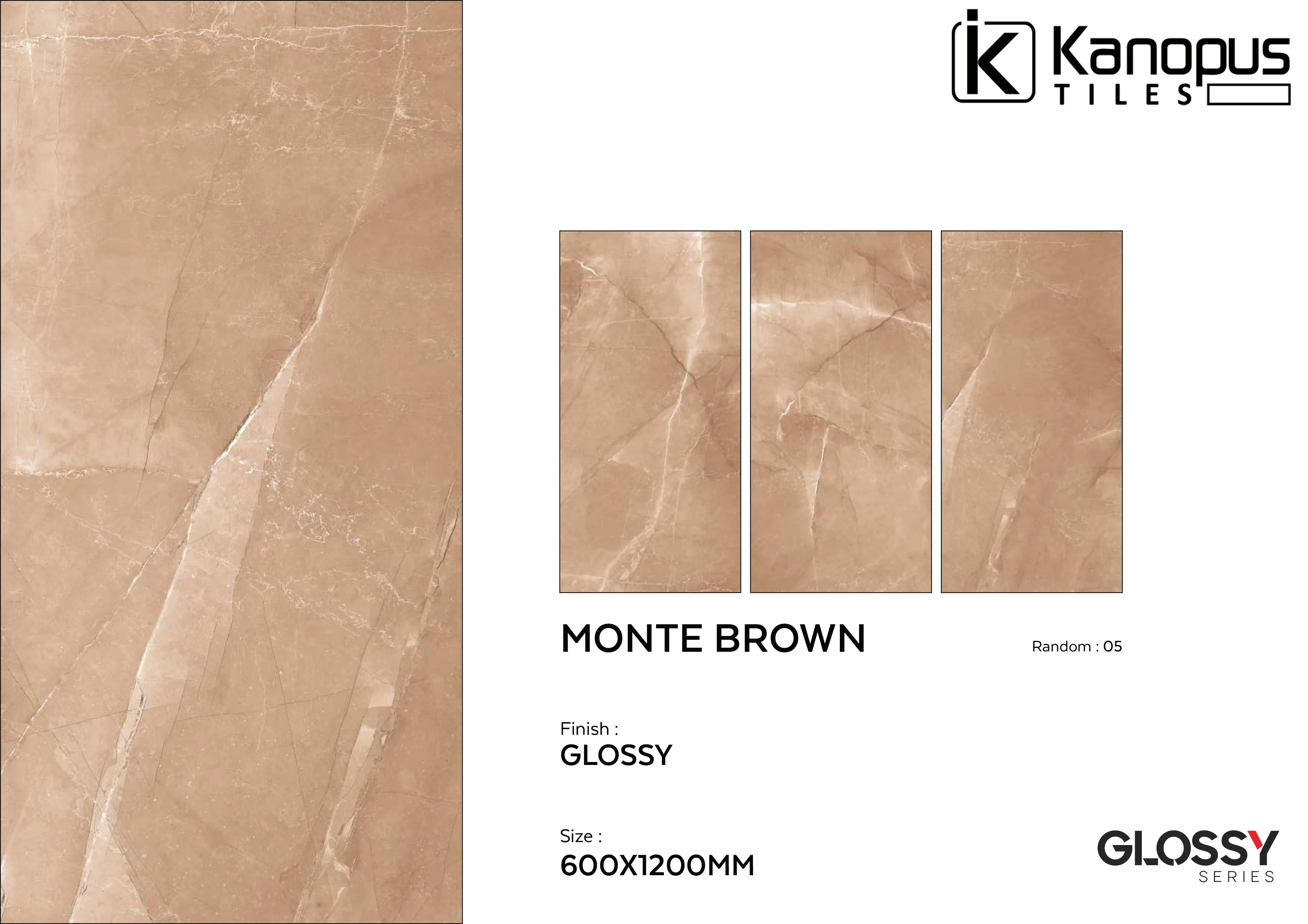 Vitrified Tiles 600*1200mm In Glossy Finish Best Quality Digital ...