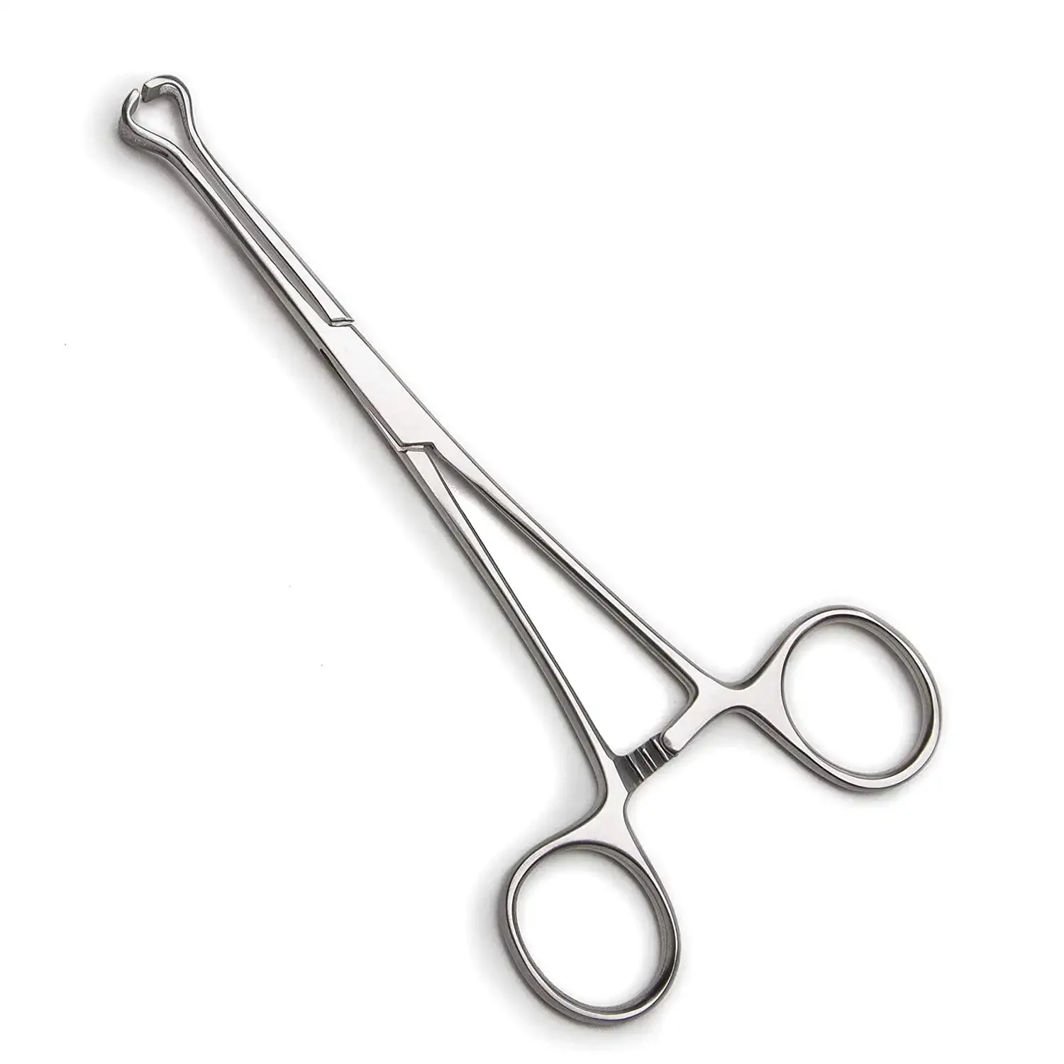 Babcock Tissue Forceps - High Quality Slotted Pennington Tweezer Forcep